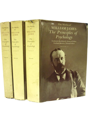 Sebo do Messias Livro - The Works of Willaim James - The Principles of ...