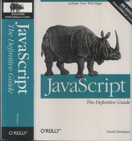 Sebo do Messias Livro - JavaScript - The Definitive Guide