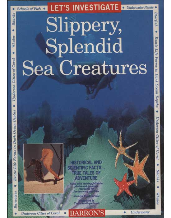 Sebo do Messias Livro - Let's Investigate - Slippery Splendid Sea Creatures