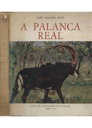 Sebo do Messias Livro - A Palanca Real