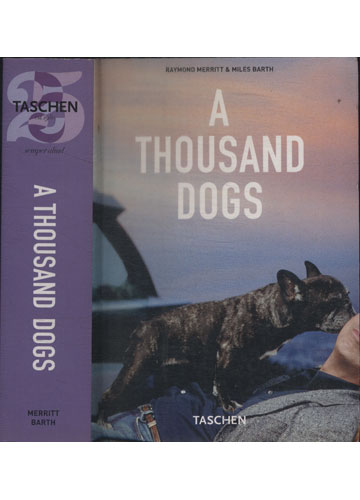 Sebo do Messias Livro - A Thousand Dogs
