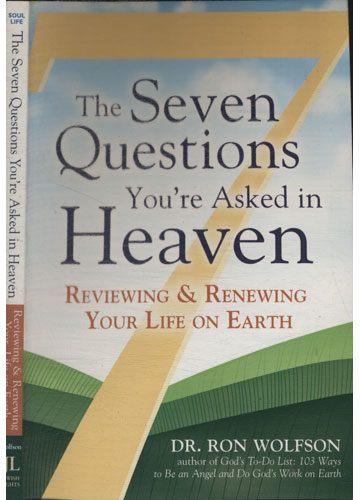 Sebo do Messias Livro - The Seven Questions You're Asked in Heaven