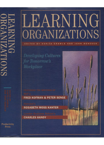 Sebo do Messias Livro - Learning Organizations