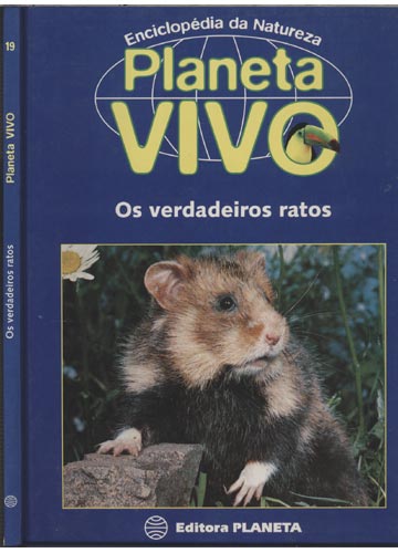 Sebo do Messias Livro - Os Verdadeiros Ratos